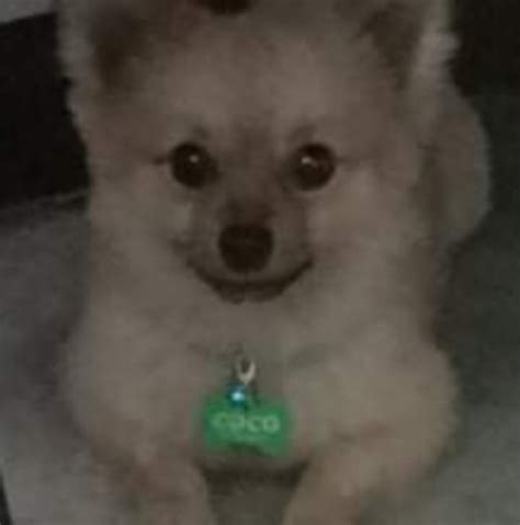 🎉 Happy Network Consolidated Cooperative Bank Official Facebook