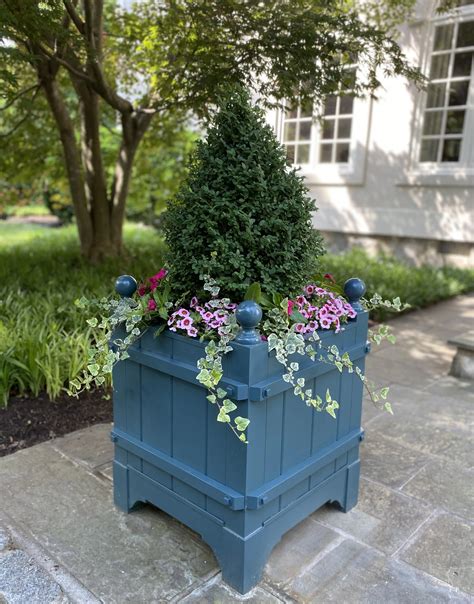 English Gardens Boxwood Container