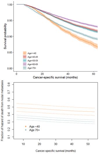 Age Dependent Heterogeneity Of Lymph Node Metastases And Survival Identified By Analysis Of A
