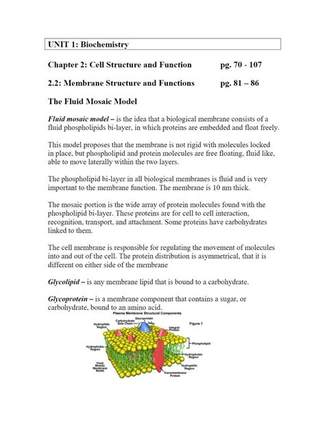 Solution Nursing Notes Biochemistry Notes Nursing Structure And