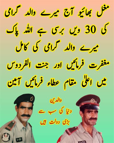 آل ورلڈ مغل برینڈ