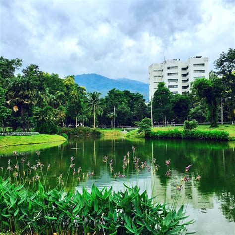 Rapin P Rapin Twitter