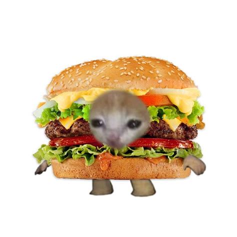 Silly Cats With Hamburger Cat On A Burger Funny Burger Cat Meme Sad