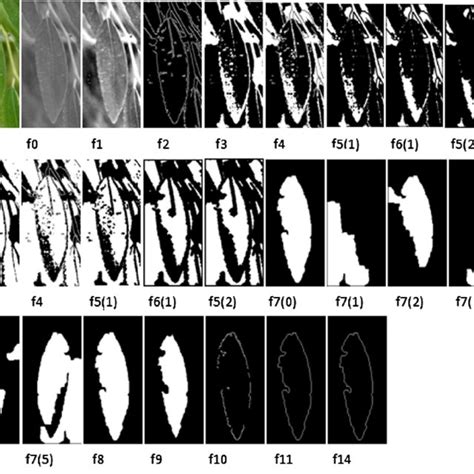 Flow Chart Of Pattern Recognition Module Download Scientific Diagram