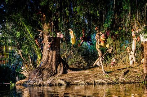 Canais De Xochimilco Ilha Das Bonecas Isla De Las Muñecas Foto