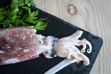 「sqid」の写真素材 39件の無料イラスト画像 Adobe Stock