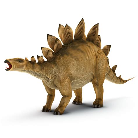 Stegosaurus Rigged 3d Model
