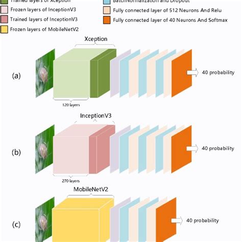 Three Architectures Of Cnn Models After Transfer Learning A Xception B Download