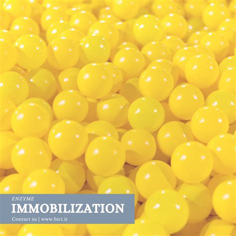 Bict Srl Biological And Chemical Technologies On Linkedin Immobilization Enzyme Technology