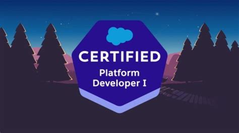 100 Off Salesforce Platform Developer 1 Practice Tests With Certificate Of Completion