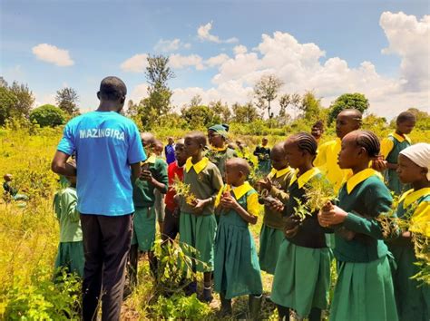 Mercy Mwende Posted On Linkedin