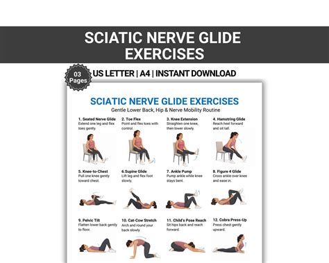 Sciatic Nerve Glide Exercises Printable Lower Back And Leg Mobility