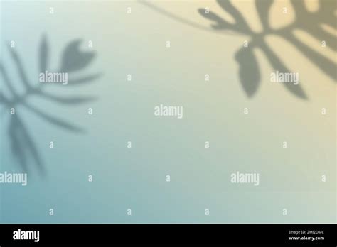 Abstrac Gradient Background Vector With Leaf Shadow Stock Vector Image