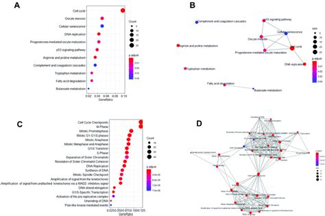 Kegg Pathway And Reactome Pathway Analysis Of The 544 Common Degs