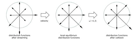 lattice boltzmann