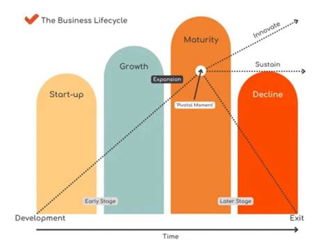 Business Lifecycle Karim Samy