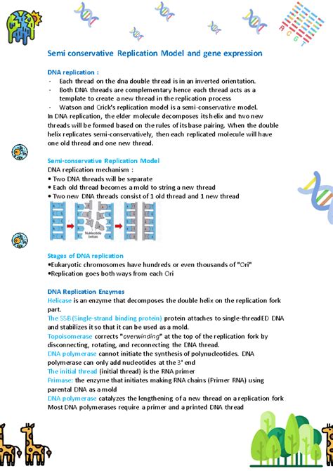 Semi Conservative Replication Model And Gene Expression ∑ Both Dna