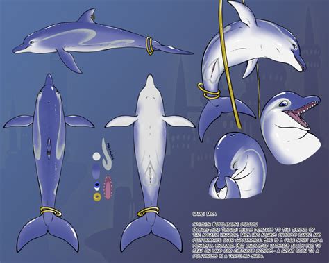 Rule 34 5 4 Anus Benji Artist Blue Body Blue Eyes Bottlenose Dolphin Cetacean Countershade