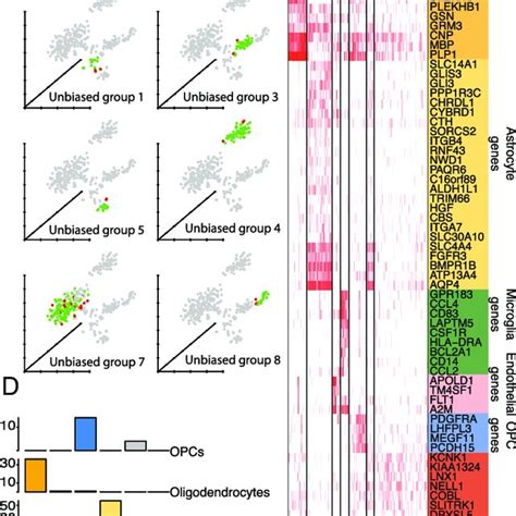 A Expression Of Excitatory Neuron Markers In Excitatory Communities Download Scientific
