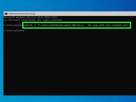 How To Set A File As Read Only Simple Steps With Visuals Mytour