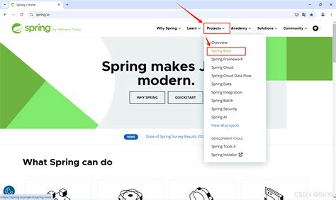 查看spring Boot 的版本情况spring Boot 的web服务器版本如何查询 Csdn博客