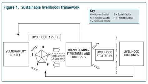 Illustration Of The Conventional Sustainable Livelihood Framework