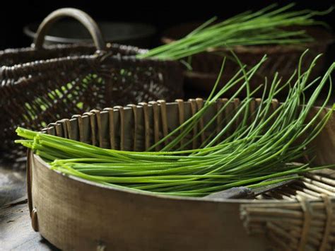 How To Grow Chives Indoors Or Out For A Bountiful Year Round Harvest Aol