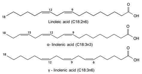 Linolenic Acid Structure