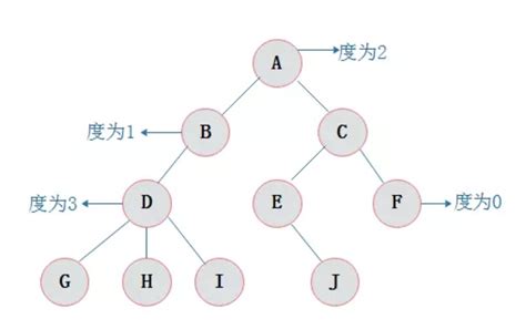二叉树学习笔记 梦在星辰 Gomyck