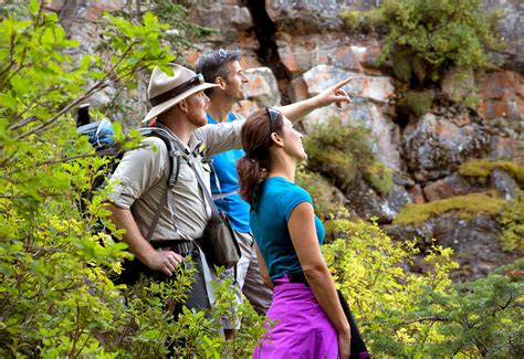 Top 5 Hikes In Banff National Park Chateau Lake Louise