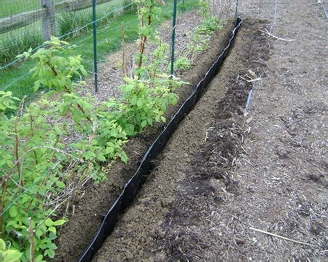 Buy Root Barrier Membrane Online From Irelands Garden Shop