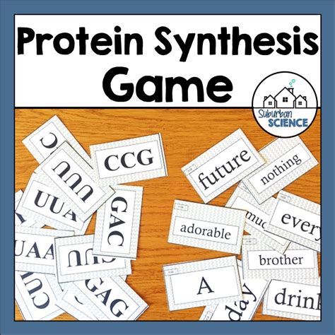 Rna And Protein Synthesis