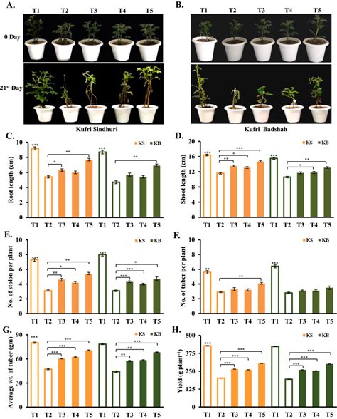 Effect Of Foliar Application Of Salicylic Acid Sa And Methyl Download Scientific Diagram
