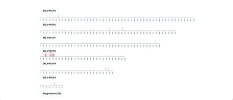 Distribution Plots Of Snp Variants Identified From Bioinformatic Download Scientific Diagram