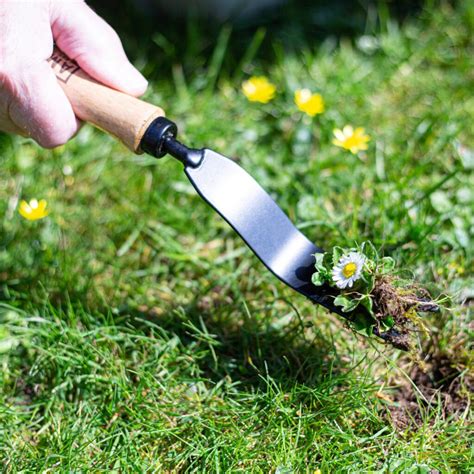 Hand Daisy Grubber Hand Tools Carbon Steel Ames Tools
