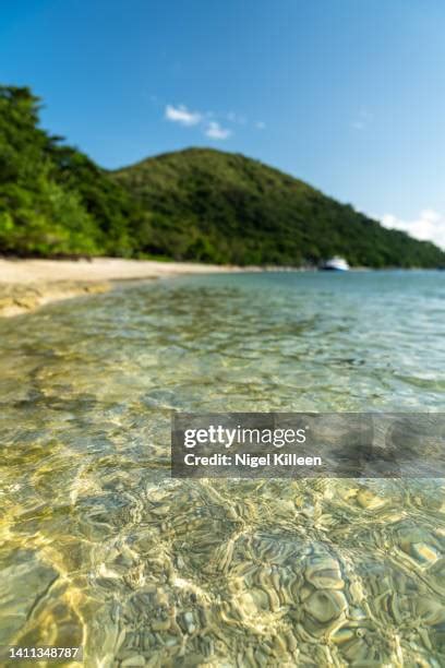 Nigel Park Photos And Premium High Res Pictures Getty Images