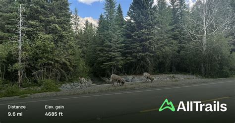 Cockscomb Mountain Alberta Canada Map Guide Alltrails