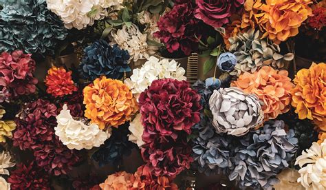 Diego Jasso And Audrey Andrades Wedding Website