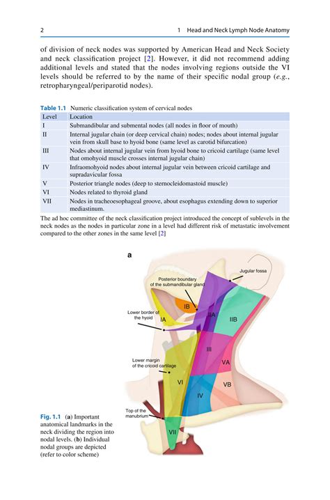 Solution Head And Neck Lymph Node Anatomy Studypool