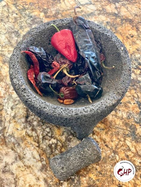 23 Mexican Chiles Youre Definitely Going To Want To Eat And Grow