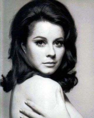 Poze Sherry Jackson Actor Poza 2 Din 8 Cinemagiaro