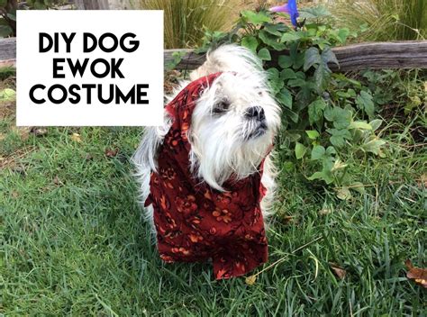 What Is An Ewok Dog