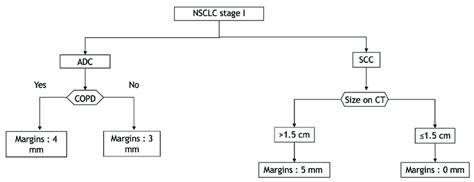 Decision Tree According To Histological Type Copd Status And Til Rate
