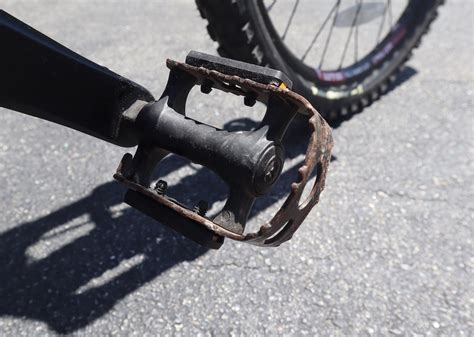 Pedaling A Bike New Arrivals