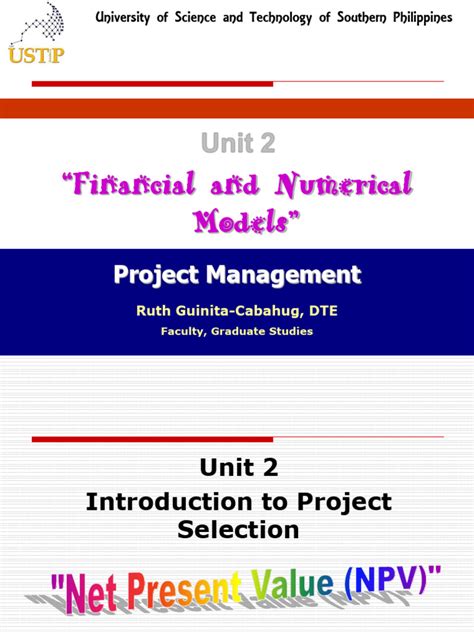 Financial Models And Npv Analysis Pdf Net Present Value Discounted