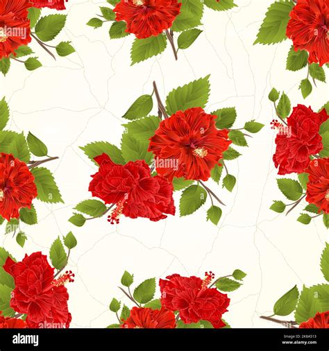 Seamless Texture Two Red Hibiscus Stem Tropical Flower Cracks In The