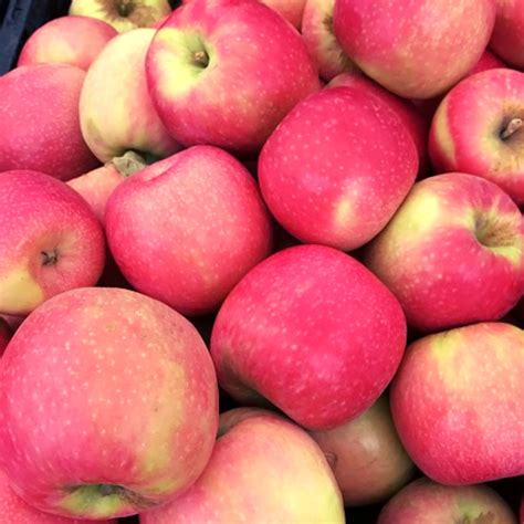 Pink Lady Apples Fruit And Vegetables Home Delivery Or Free Pickup