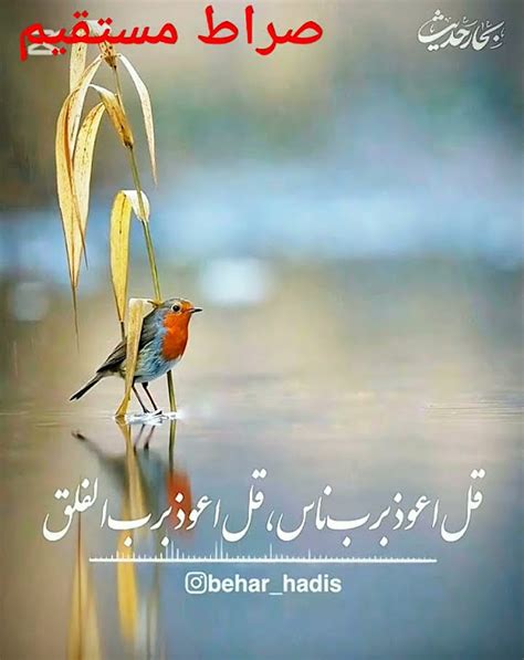 پنج سفارش آقای بهجت برای طلسم و Youtube