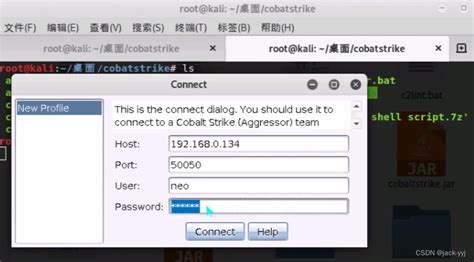 Cobalt Strike Veil 免杀过杀软（子篇10）cobalt Strike 的payload免杀 Csdn博客