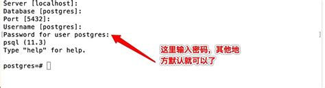 Mac Os 上安装 Postgresql 菜鸟教程